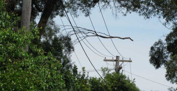 Ergon Energy boosts storm resilience two ways - Energy Source ...