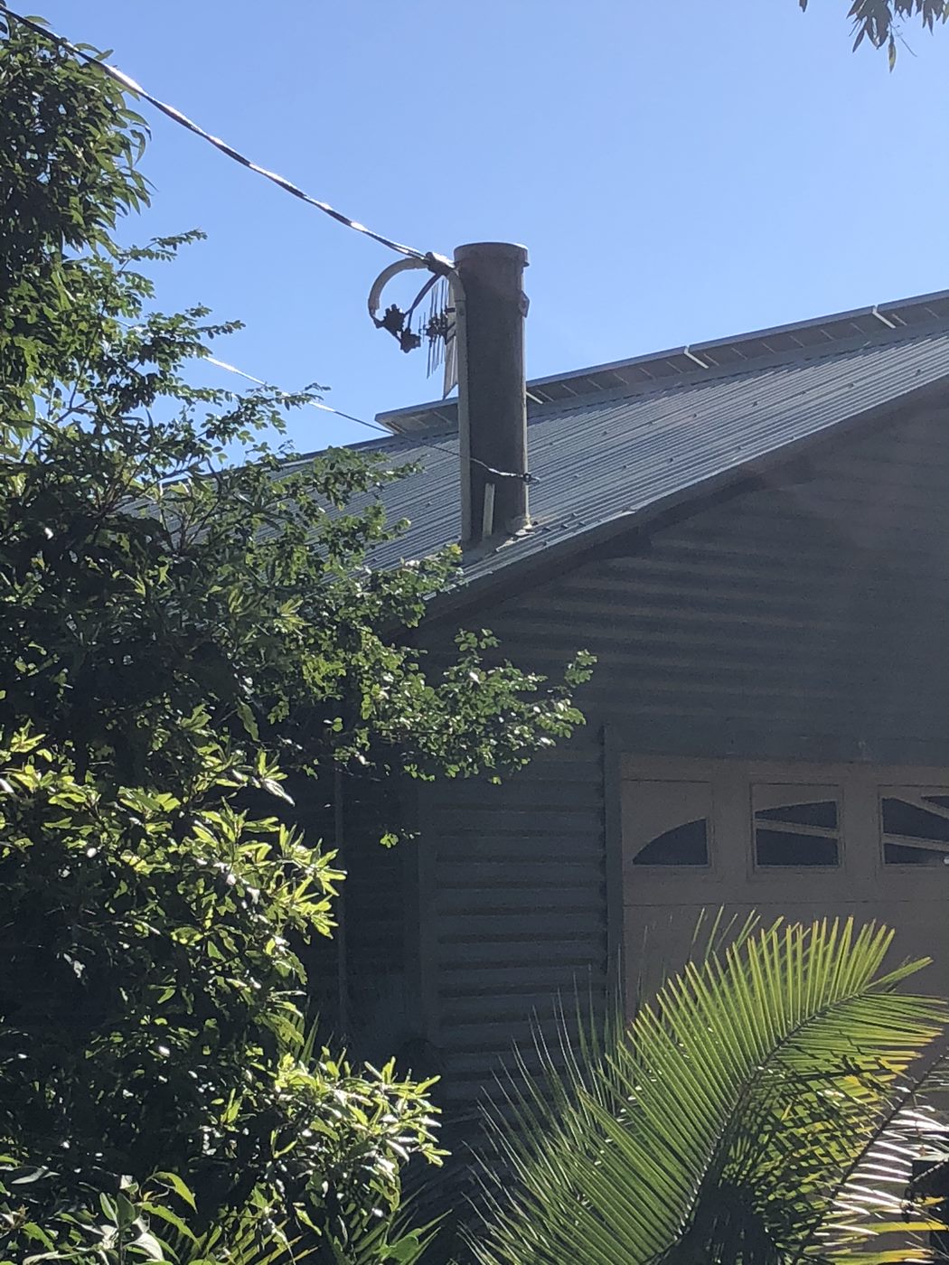 Electricity Safety Week kicks off with disturbing imagery - Energy ...